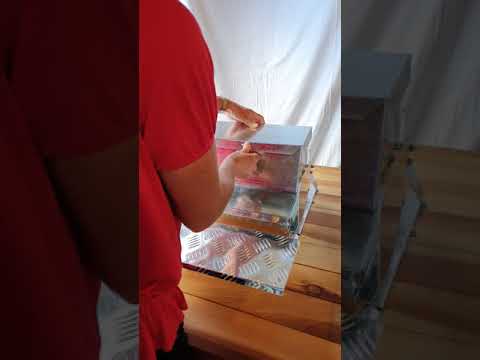 Grandpa's Feeders vs cheap knockoff