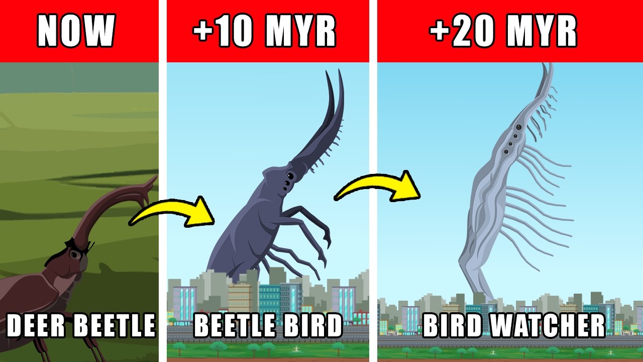 The Bird Watcher (Trevor Henderson) Origin Evolution: How The Bird Watcher Could Have Evolved