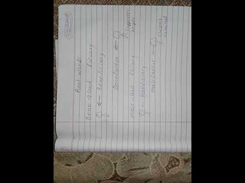 Root words @LAXMI DEOGAM