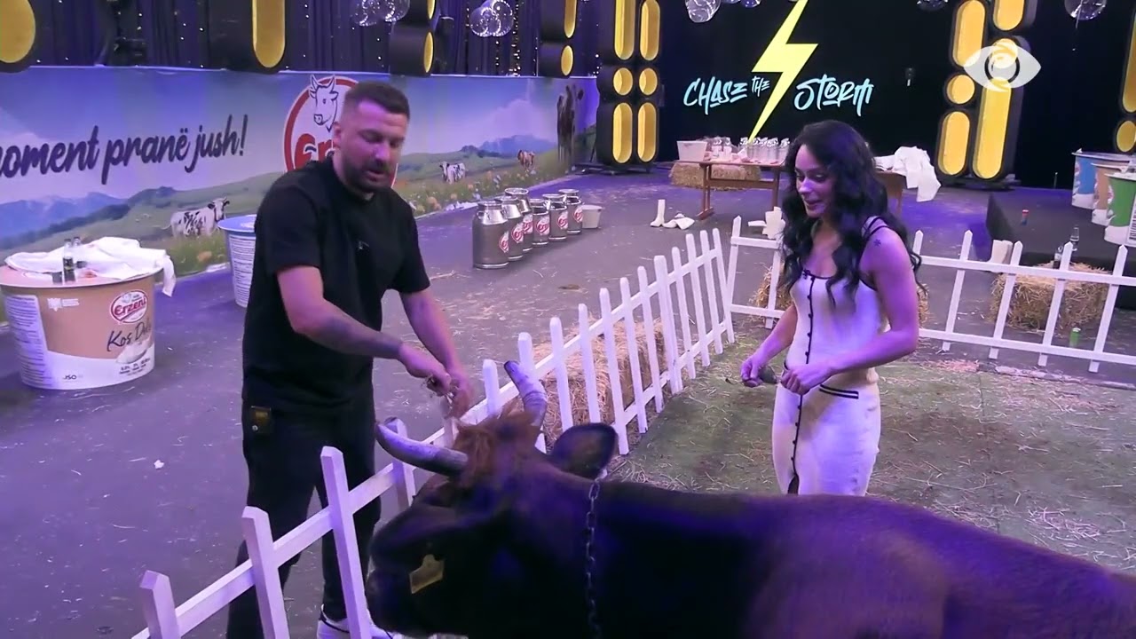 “Bravo Murra…”/ Egli dhe Kelly ushqejnë lopën – Big Brother VIP 4