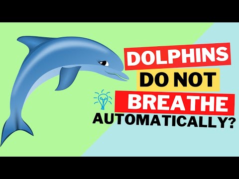10 Interesting Facts About Animals