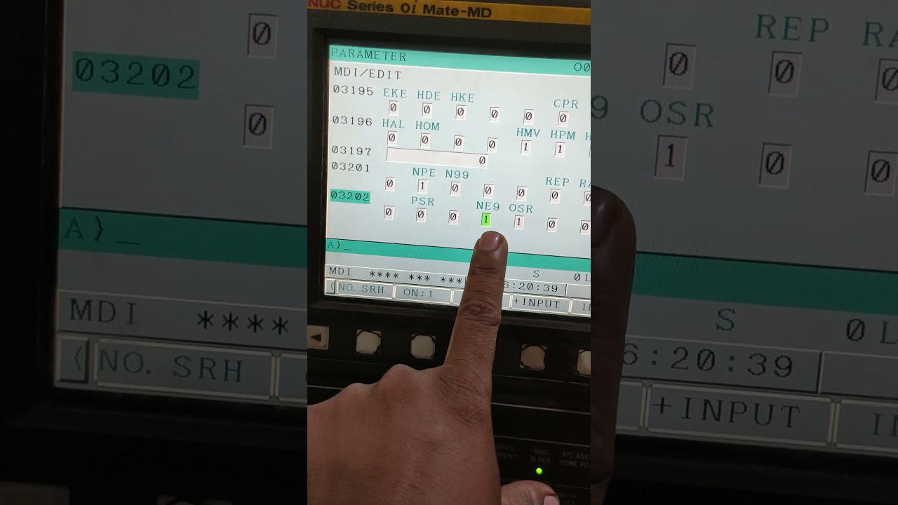 program protector parameter number