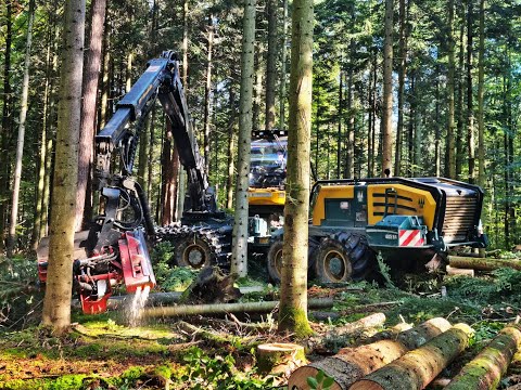 🎄*OnBoard* HSM 405-H4 • *THE biggest Harvester* • Forstbetrieb Aichholz • X270 & Waratah 415🎄