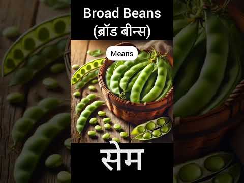 Broad beans hindi meaning #shorts