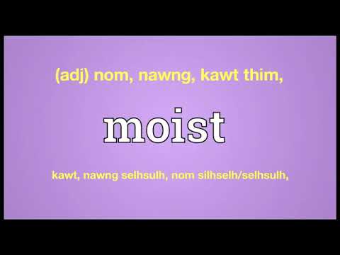 moist meaning in English Ngawn