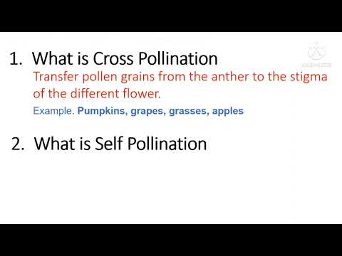 What is Cross Pollination | What is Self Pollination | Definition | Short Answers | Biology