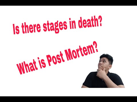 Post Mortem Changes in the Body