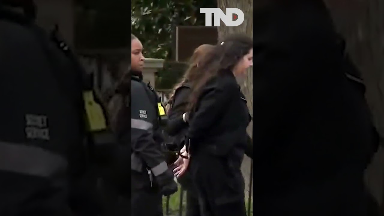 Left-wing Jewish activists arrested during protest at White House #shorts