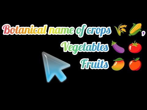 Botanical name of crops 🌾 🌽, vegetables 🍆 🍅 🌶️ and fruit 🥭 🍑#shorts #live