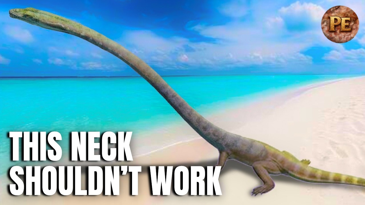 The Reptile with IMPOSSIBLE Neck | Tanystropheus