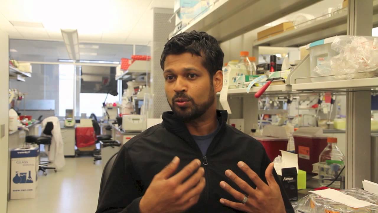 What is Systems Biology