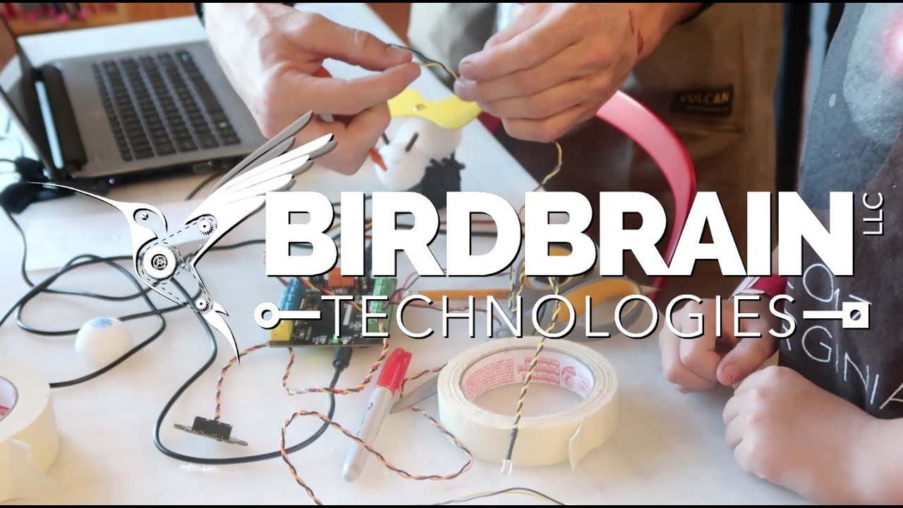 BirdBrain Technologies LLC