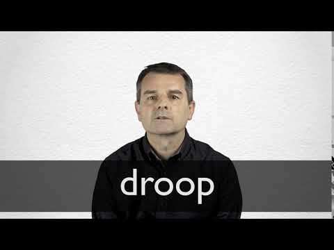 DROOP definition and meaning | Collins English Dictionary