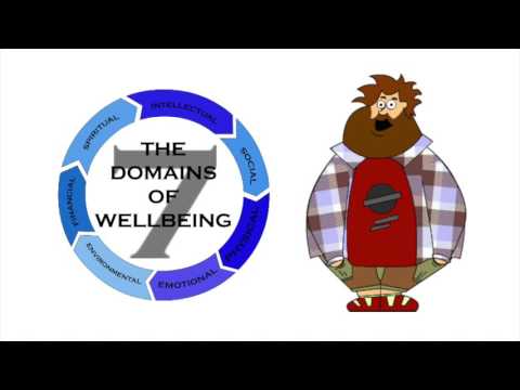 Seven Domains of Wellbeing
