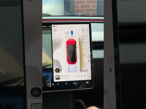 Best New Feature on the Tesla Model 3 😍