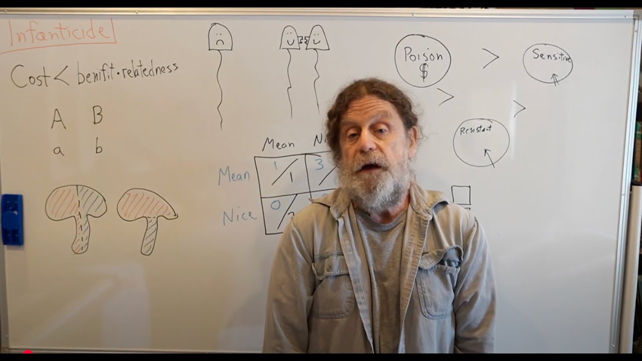 Asksia - Learn & Review: 2-Evolution of Behavior I - Robert Sapolsky's ...