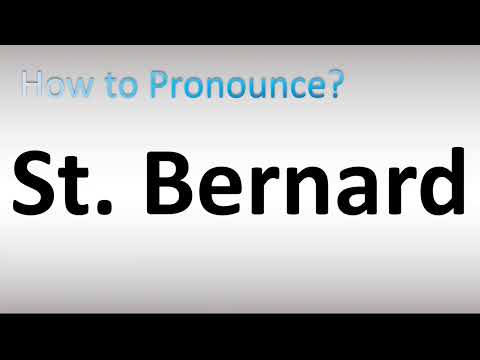 How to Pronounce St. Bernard