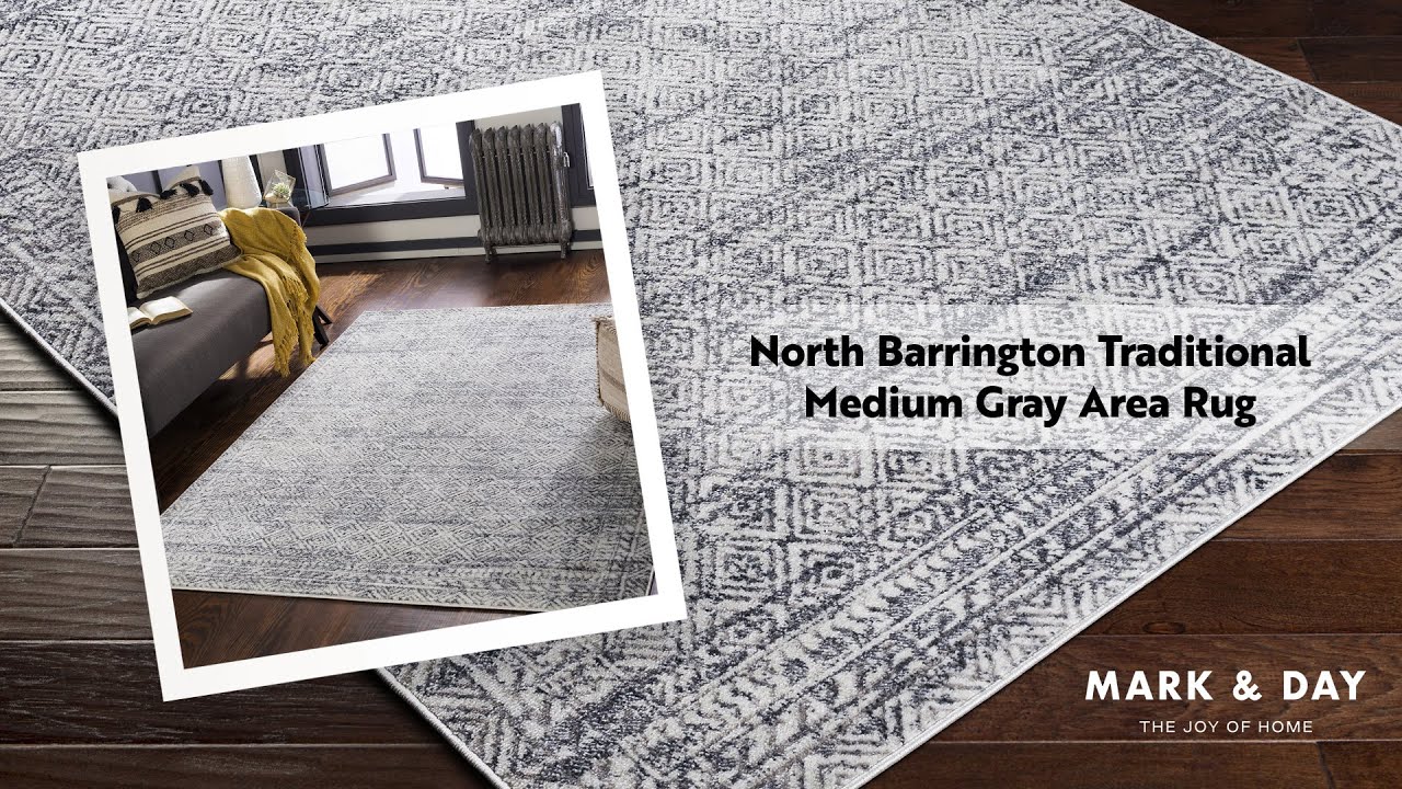 North Barrington Traditional Medium Gray Area Rug