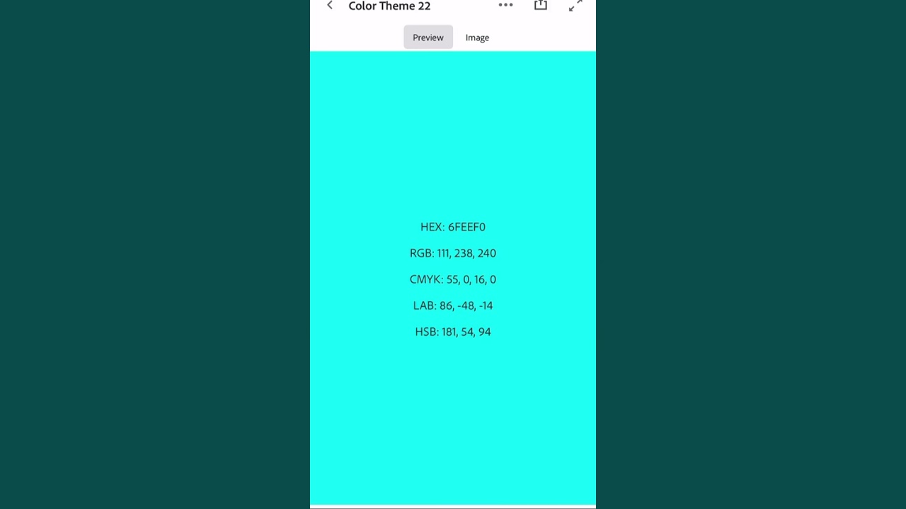What do you think of this color palette? I created this custom palette using Adobe Capture and