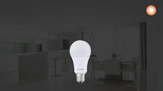 FOCO LED A17 LEDVANCE 5 W 450 LÚMENES LUZ BLANCA CÁLIDA | The Home ...