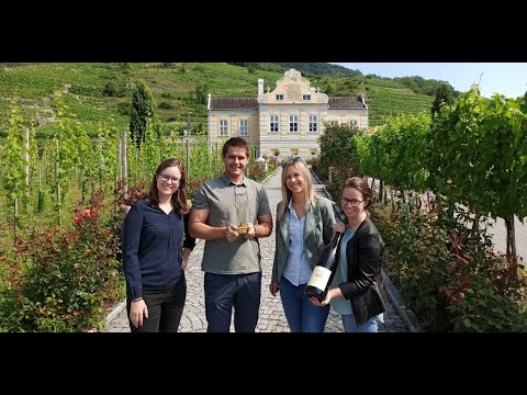 "Europe's Best Vineyard 2020": Domäne Wachau