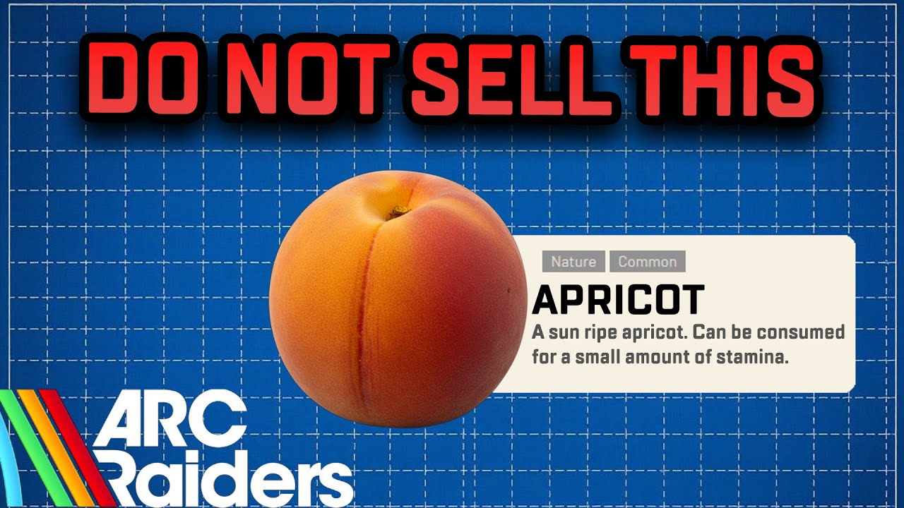 ARC Raiders Most Valuable Items You'll Need To Watch Out For