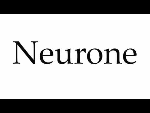 How to Pronounce Neurone