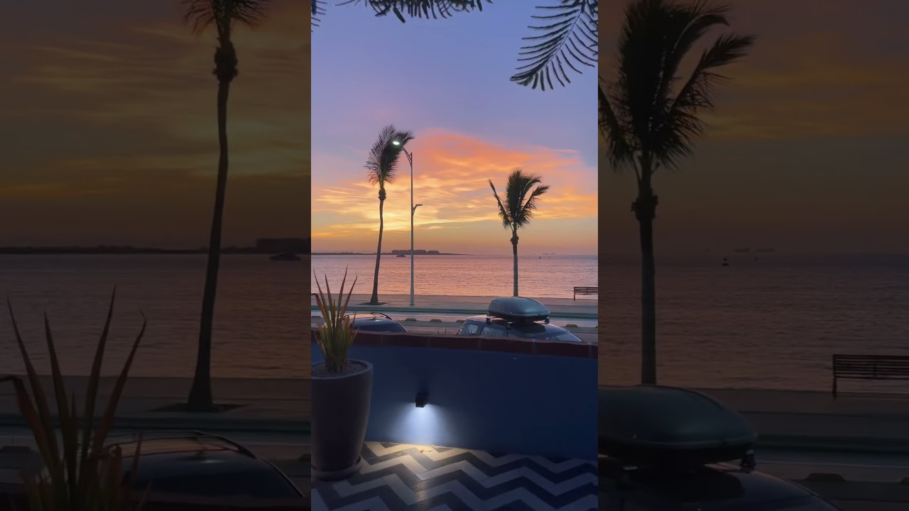 🌅Background Video of La Paz, MX | aesthetic sunset #aestheticvideo #backgroundvideo #scenery