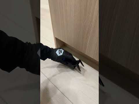 Humane Mouse Control Starts Here: Kness Tip Trap Overview