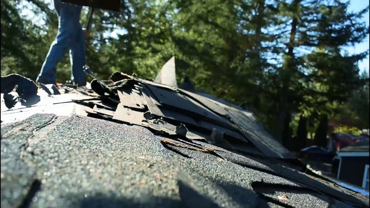 Black Bear Roofing introduction