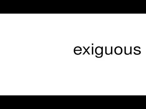 How to pronounce exiguous