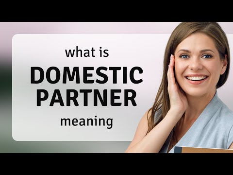 Domestic partner • what is DOMESTIC PARTNER definition