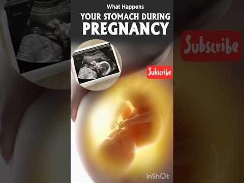 What happens your stomach during pregnancy #pregnancy #stomach #baby #movement #ultrasound #pregnant
