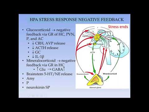 ACRM Hot Topics in CIRM:Sensitized Chronic Pain and HRV Biofeedback