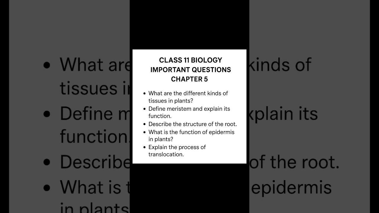 class 11 biology chapter 5 morphology of flowering plants important questions #examoriented #mustdo