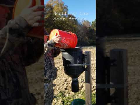 filling the deer feeder at the house yesterday. opening day in Bama today.. good luck y'all!