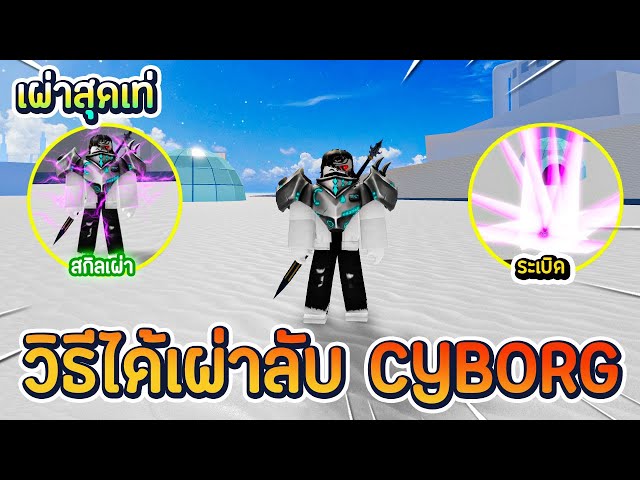 Roblox | Blox Fruits สอนทำเผ่า Cyborg V3 (เผ่าไซบอร์ก V3) โคตรถึกเลย ทำ ...