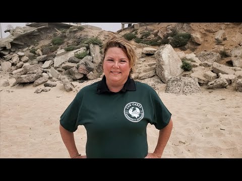 CSG Cares-Community Outreach and Organizational Stewardship