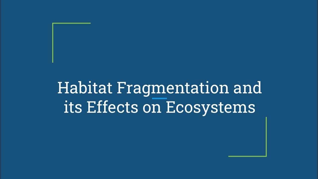 GEGN 101 Habitat Fragmentation