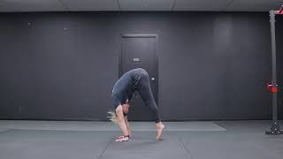 Pike Hold - ONI Workout App