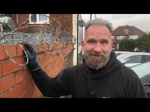 HOW TO GET RID OF RATS?