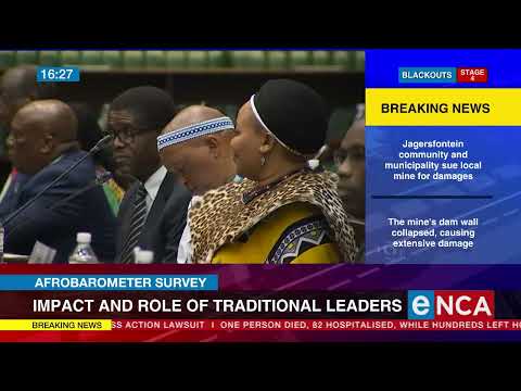 Impact and role of traditional healers
