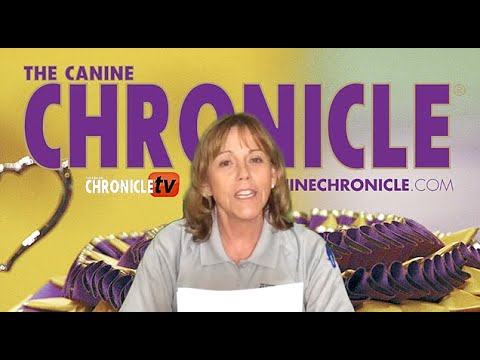 Fun Facts with Jane - Westminster Kennel Club Did You Know? Ep. 2