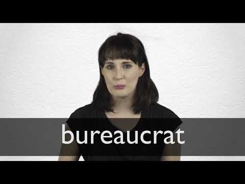 BUREAUCRAT definition and meaning | Collins English Dictionary