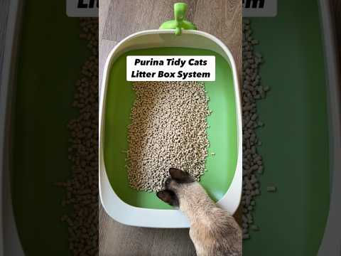 Purina Tidy Cats Litter Box System, BREEZE System Starter Kit #amazonfinds #amazonmusthaves #cats