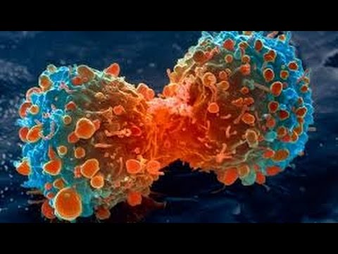 Creating Individualized Cancer Treatment