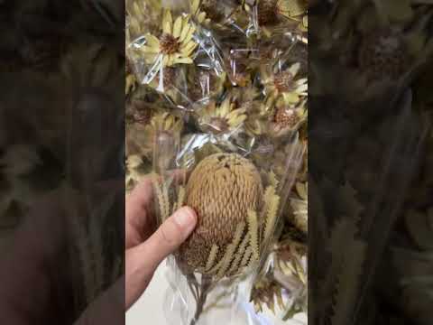 Banksia flower for floral bouquets arrangements design popular dry bloom #banksia #sayefloral #decor