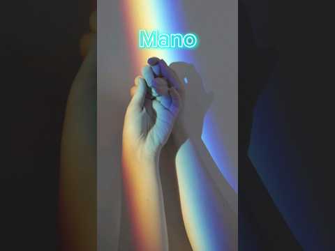 MANO - DEFINICIÓN MÉDICA | Interpretación Consecutiva Medical