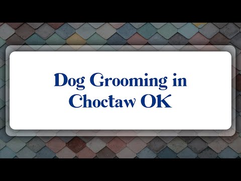 Top 10 Dog Grooming in Choctaw, OK