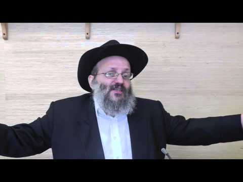 Rabbi Naftali Perlstein - Torah Reading: Mishpatim